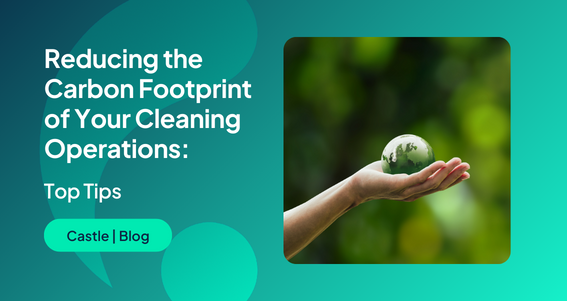 Carbon neutral cleaning tips