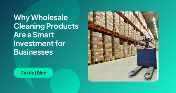 Why You Should Invest in Wholesale Cleaning Products